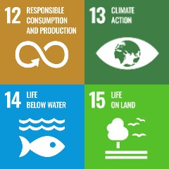 SDGs 12-15